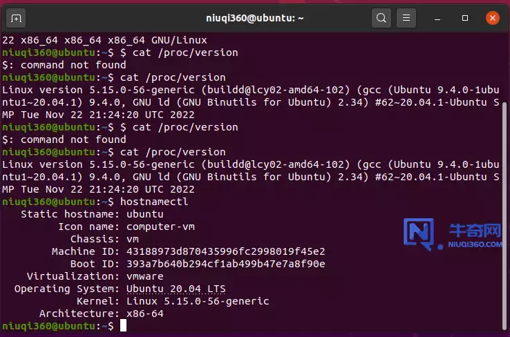 如何查看 Linux 系统名称和内核版本 牛奇网