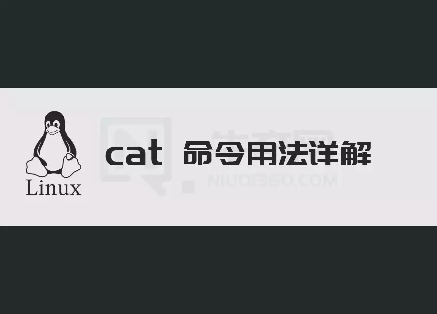 cat 命令的用法详解 - 牛奇网