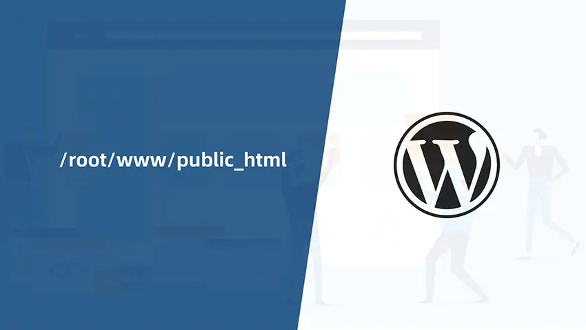 Ubuntu系统如何查询网站根目录位置？ - 牛奇网